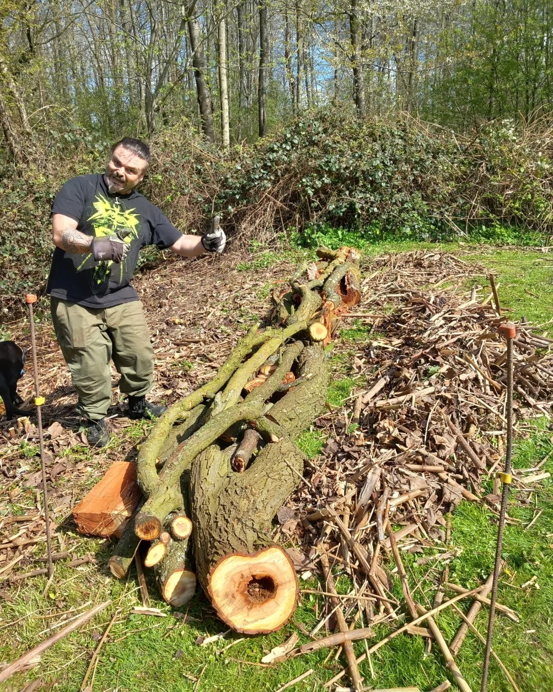 Svendborg Haven – Økologiske haver design